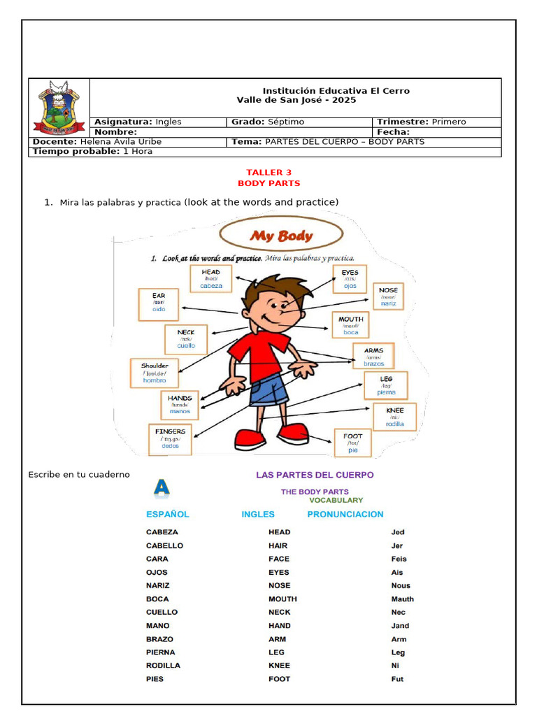 La Partes Del Cuerpo | PDF