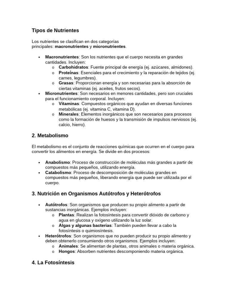 Nutrientes y Procesos Energéticos | PDF | Nutrientes | Metabolismo
