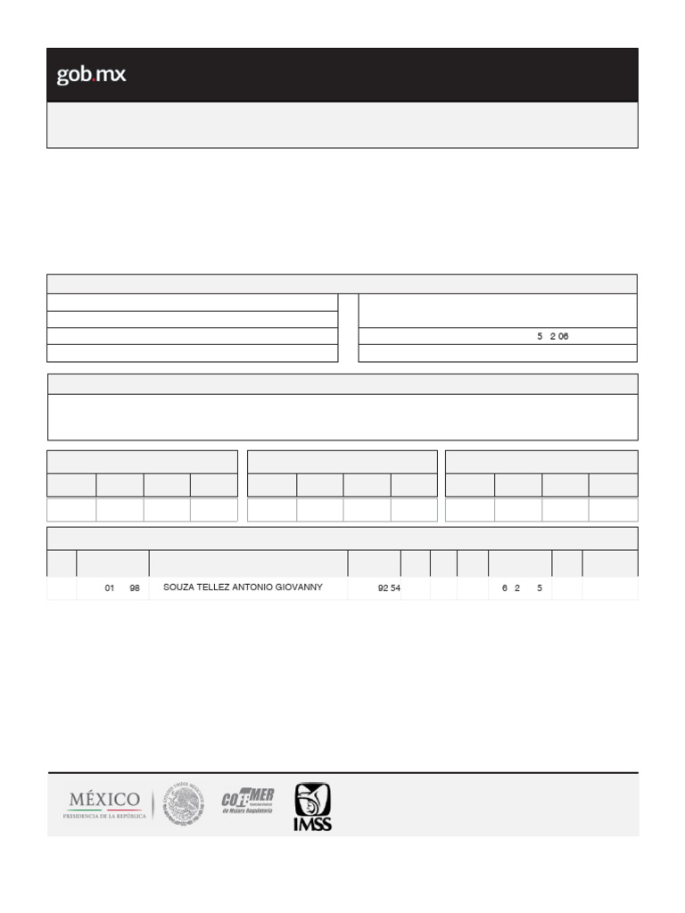 Souza Tellez Antonio Giovanny 06022025 | PDF