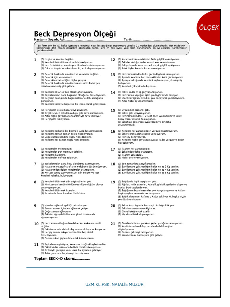 Beck Depresyon 2 | PDF