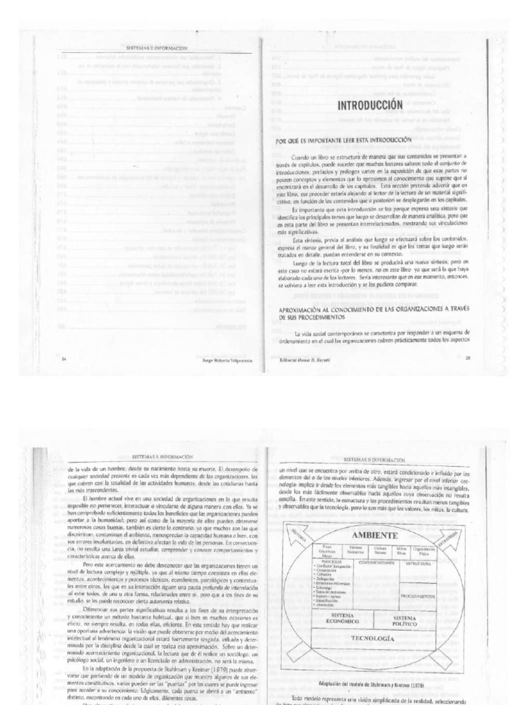 Volpentesta - Sistemas e Información - Introducción y Cap 1 | PDF