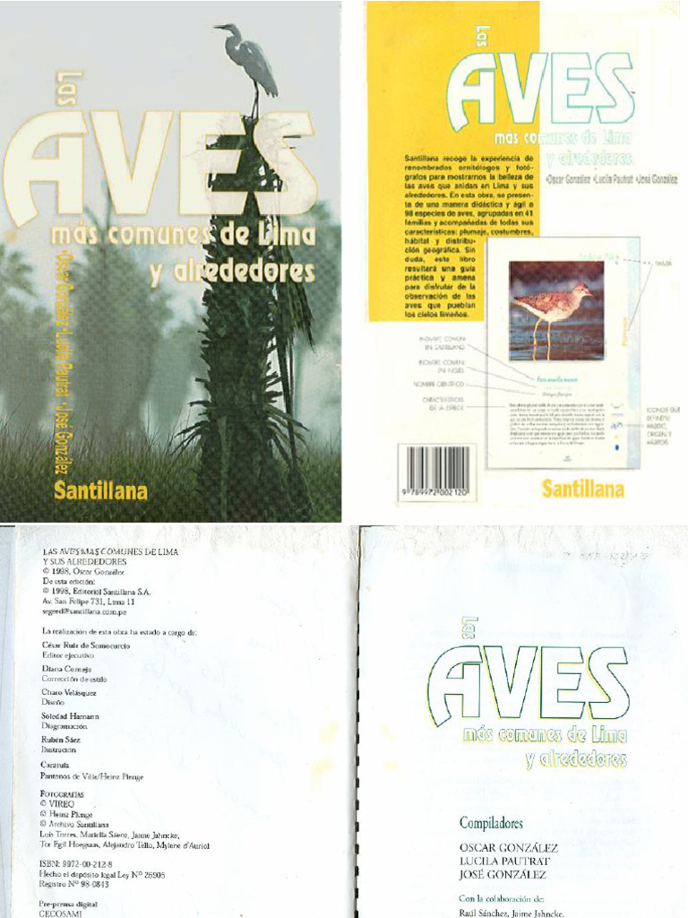 Libro de Aves Lima | PDF