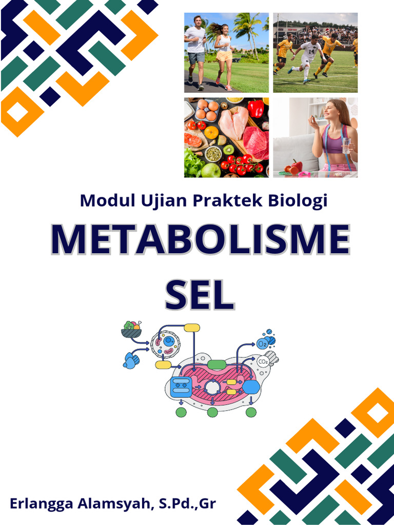 Metabolisme Sel | PDF