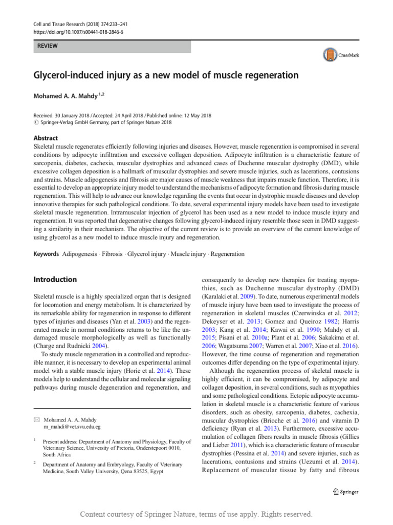 Glycerol-Induced Injury As A New Model of Muscle R | PDF | Wound ...