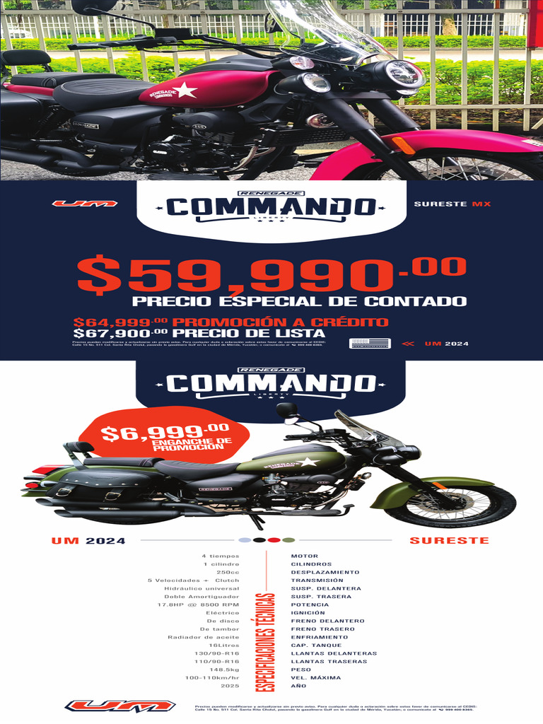 Ficha Tecnica Renegade Liberty Commando 250 2025 | PDF