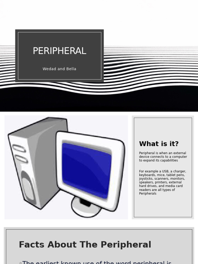 Peripherals | PDF