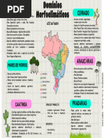 Geografia da Bahia: Clima, Relevo e Recursos | PDF | Geografia Física ...