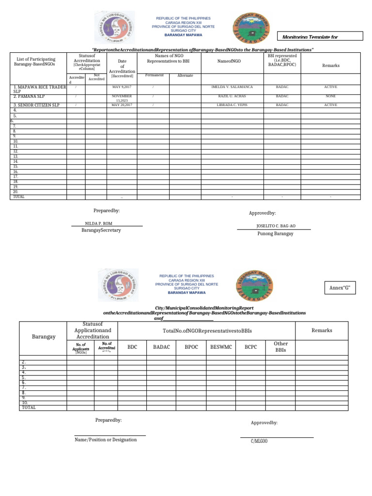CSO Accreditation Report 1 | PDF | Advocacy | Activism