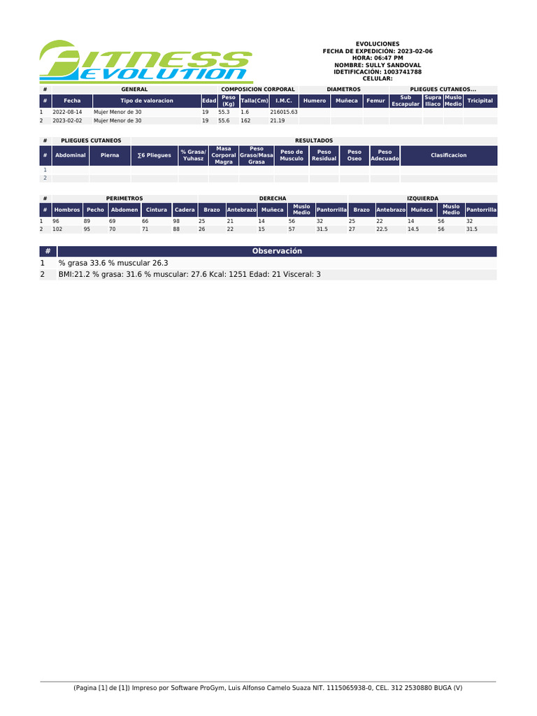 Evoluciones - Cliente Zully Sandocal | PDF | Forma del cuerpo ...