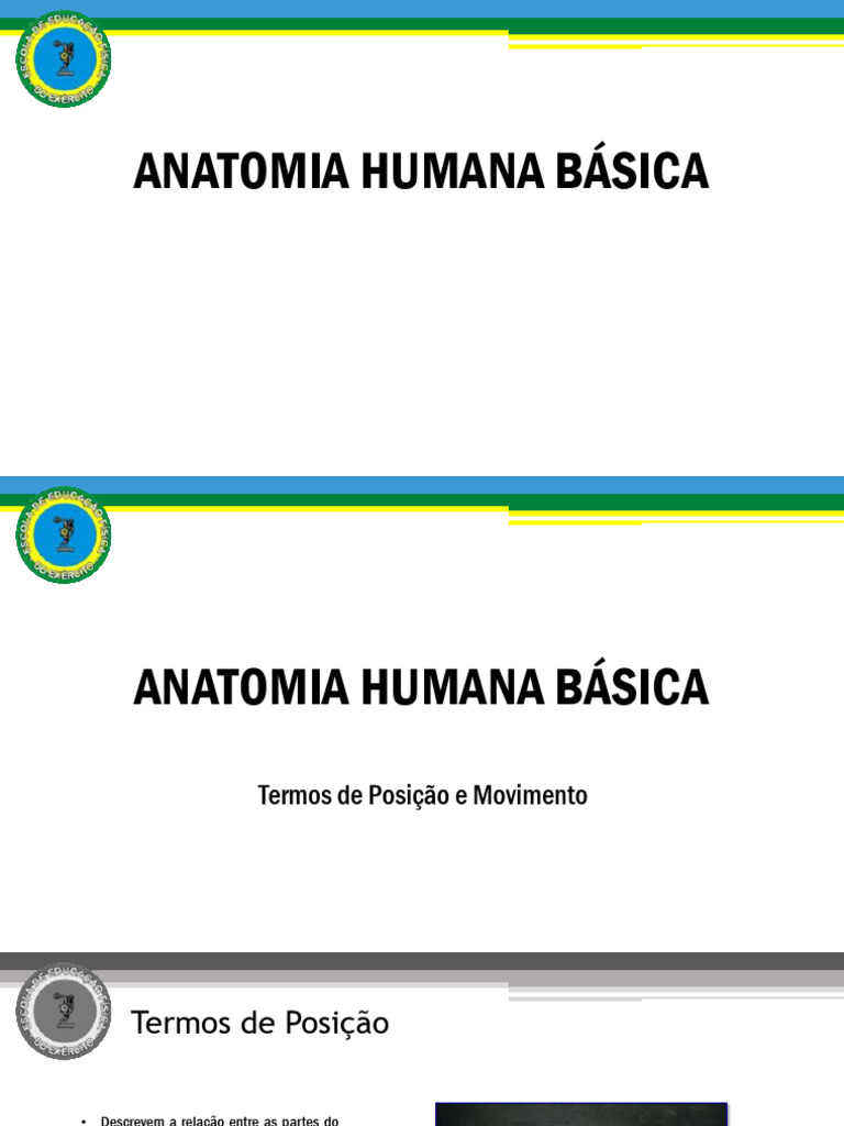 Aula 4 - Termos de Posição e Movimento | PDF | Movimentos anatômicos ...