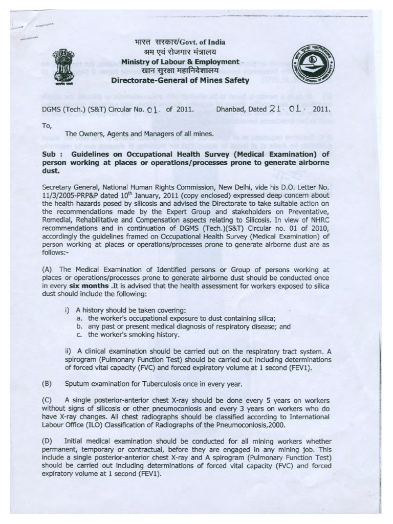 Ohs Dust Survey Wit Recommendation of NHRC | PDF