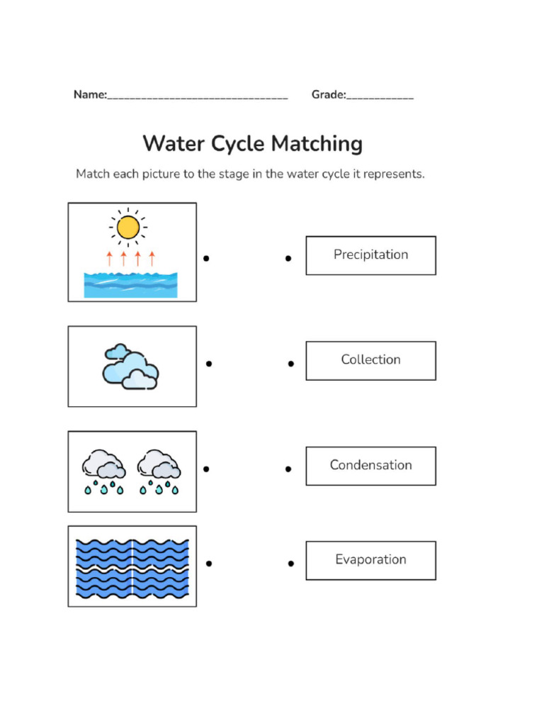 Worksheet science lesson 1 | PDF