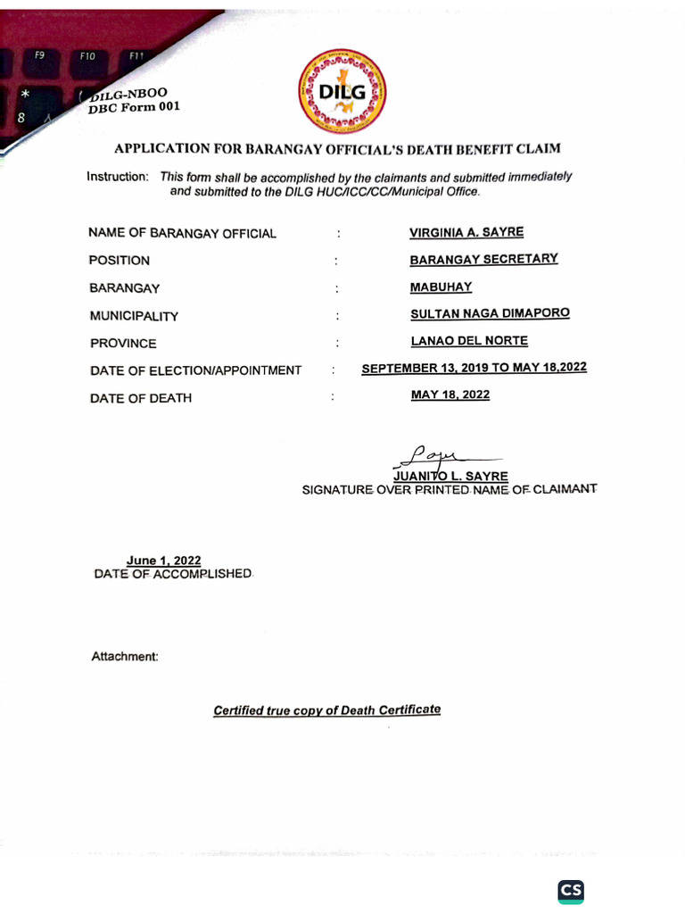 Accomplished DBC Form 001 | PDF