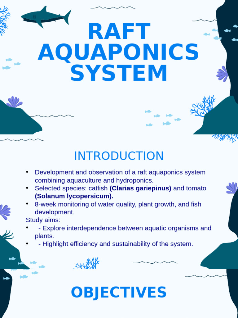 Raft Aquaponics System Study: Catfish & Tomatoes | PDF | Aquaponics
