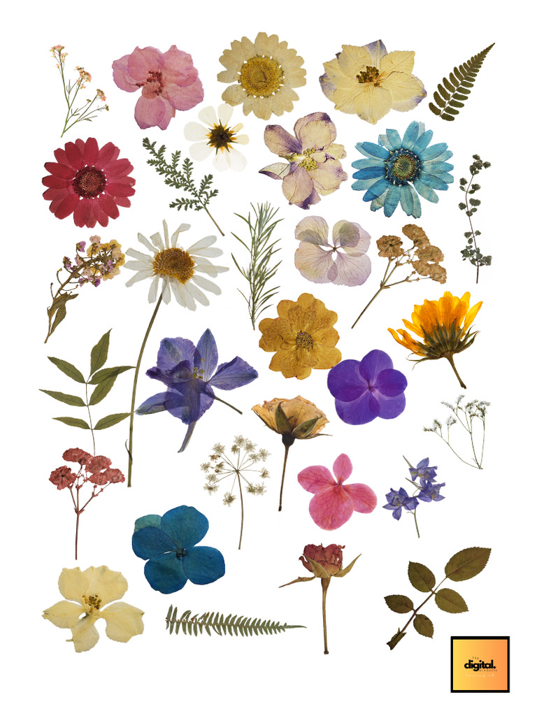 The Scrapbook Printable Cutouts | PDF