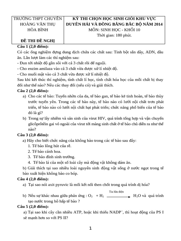 Dedenghi DH2014-sinh10 | PDF