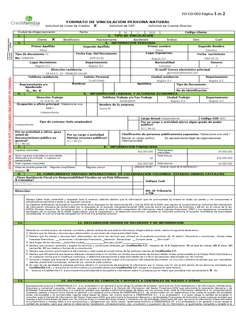 Formulario Vinculación PN | PDF | Bancos | Economias