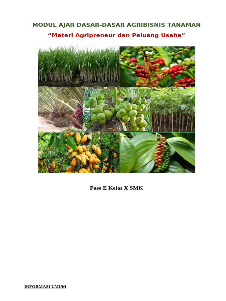 07 A. MODUL AJAR DDAT AGRIPRENEUR DAN PELUANG USAHA | PDF