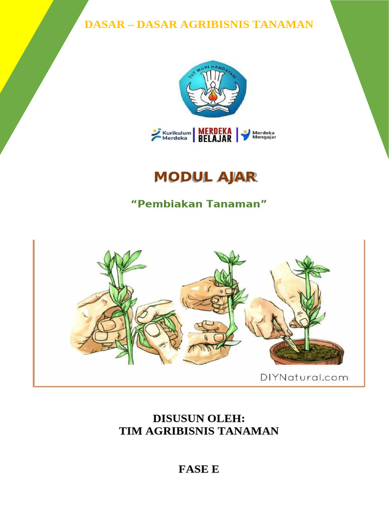 07 B. MODUL AJAR DDAT PEMBIAKAN TANAMAN | PDF