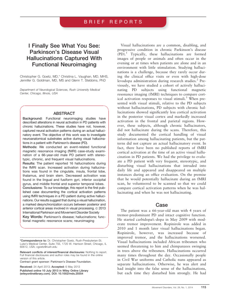 Briefi Finally See What You See | PDF | Hallucination | Frontal Lobe