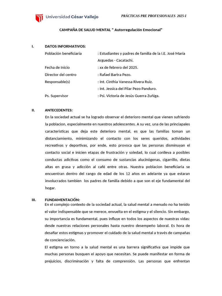 Formato Elaboración de Campaña de Salud Mental 2025 | PDF | Salud mental | Sicología