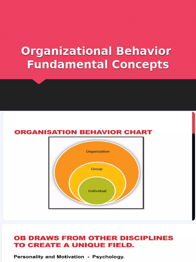 Lesson 2-Organizational Behavior | PDF
