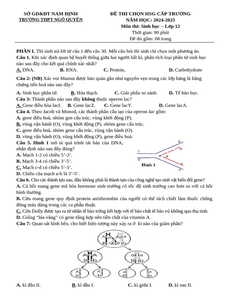 HDC ĐỀ CHỌN HSG MÔN SINH 12 | PDF