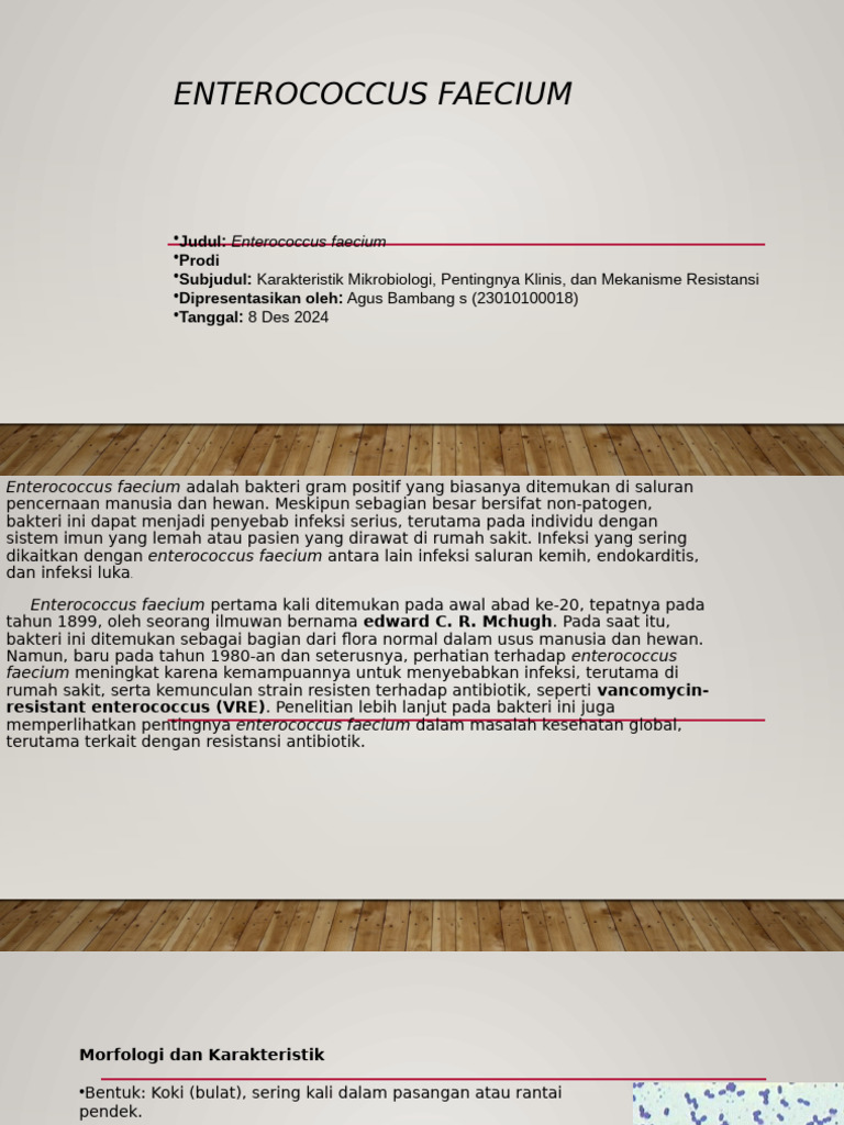 Enterococcus Faecium PPT Pak Pras | PDF