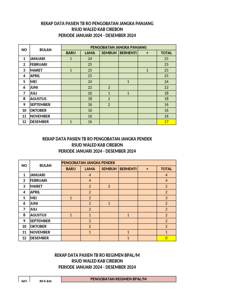 Rekap Data Pasien TB RO Tahun 2024 | PDF