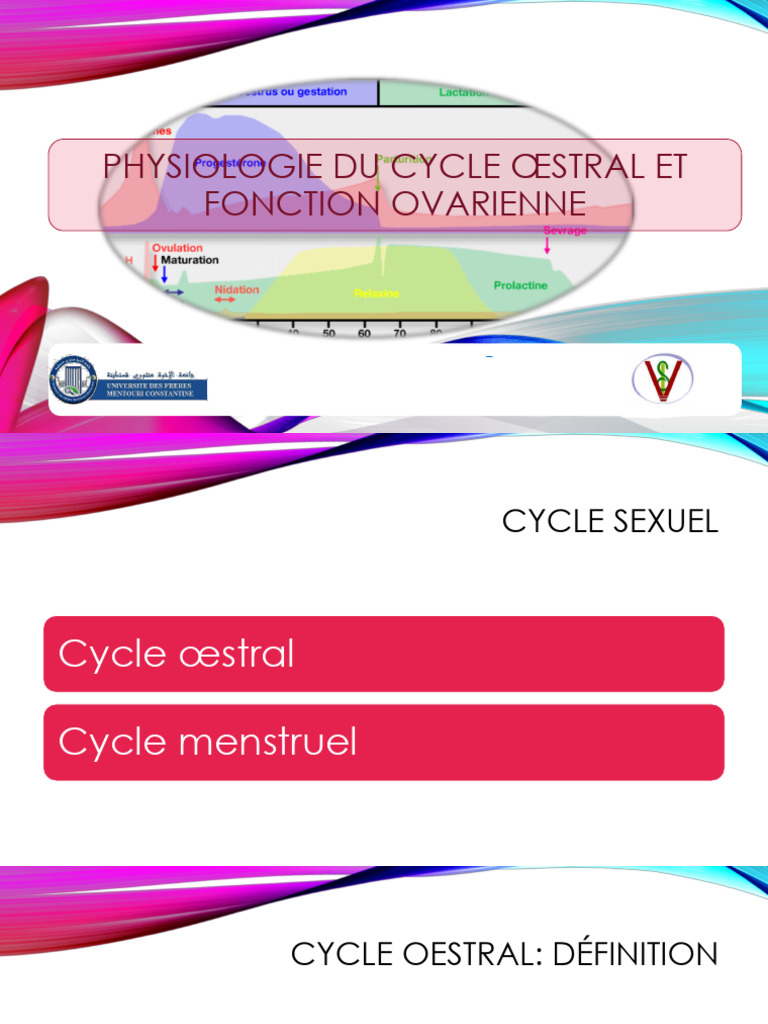 Physiologie du Cycle Œstral et Ovarien | PDF | Processus biologiques ...