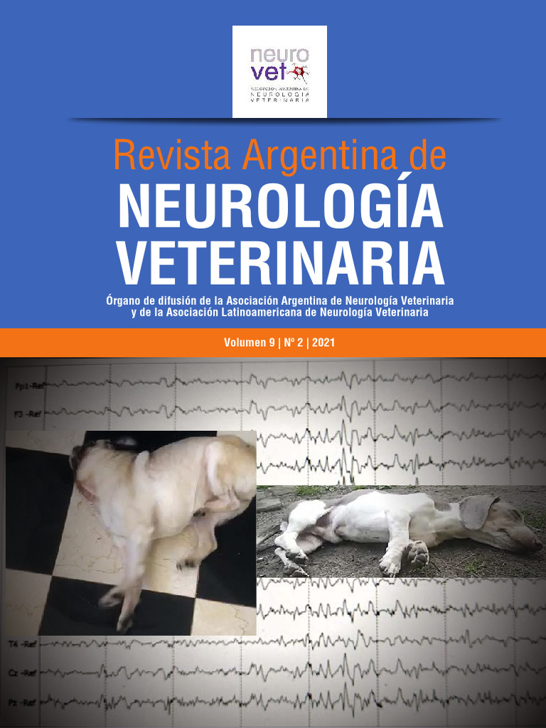 Neurovet-Vol9 N2 | PDF | Epilepsia | Especialidades Medicas