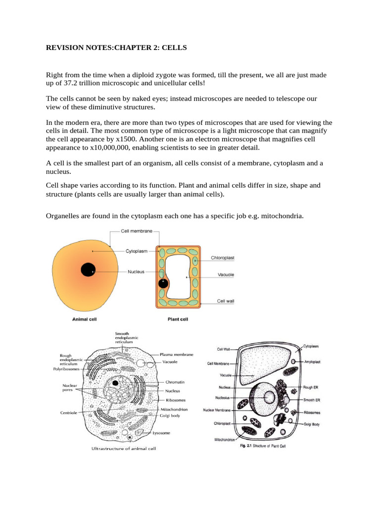 Chapter 2 Revision Notes | PDF | Cell (Biology) | Cytoplasm
