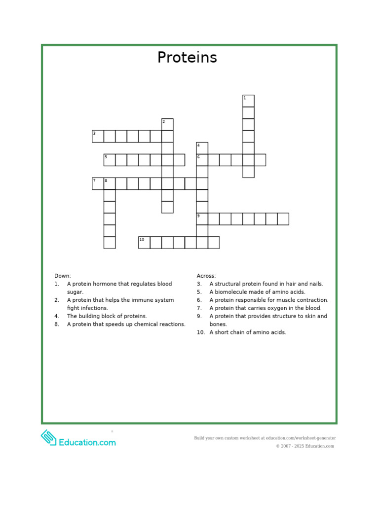 Protein Crossword Puzzle Worksheet | PDF