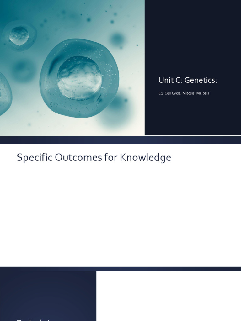 C1 - Bio30 - Cell Cycle, Mitosis, Meiosis | PDF | Meiosis | Mitosis