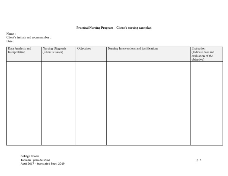 Worksheet - Nursing Care Plan | PDF