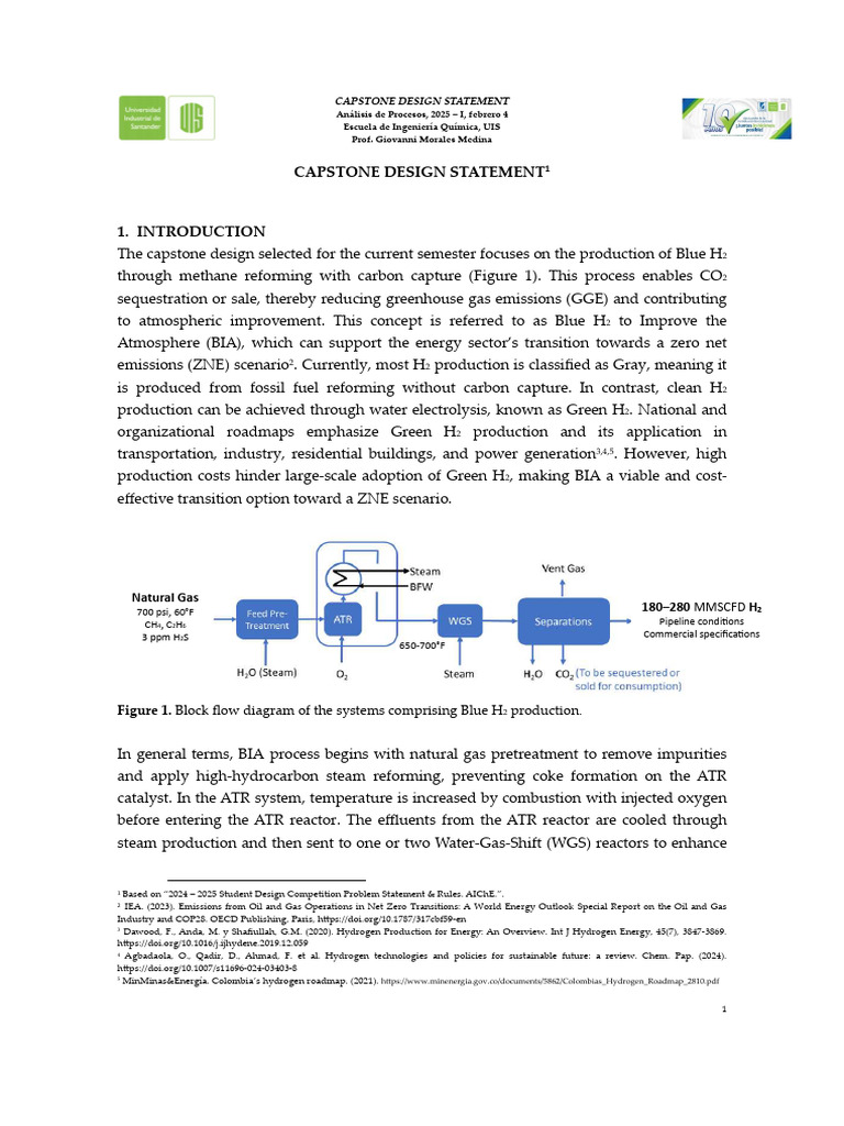 Captone Design Statement 2025-I | PDF | Net Present Value | Carbon ...