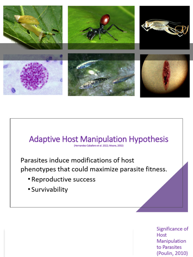 Lecture-3-Host-Manipulation-2024 | PDF | Parasitism | Evolution