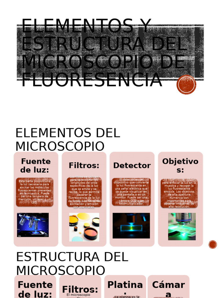 Estructura del Microscopio de Fluorescencia | PDF | Fluorescencia ...