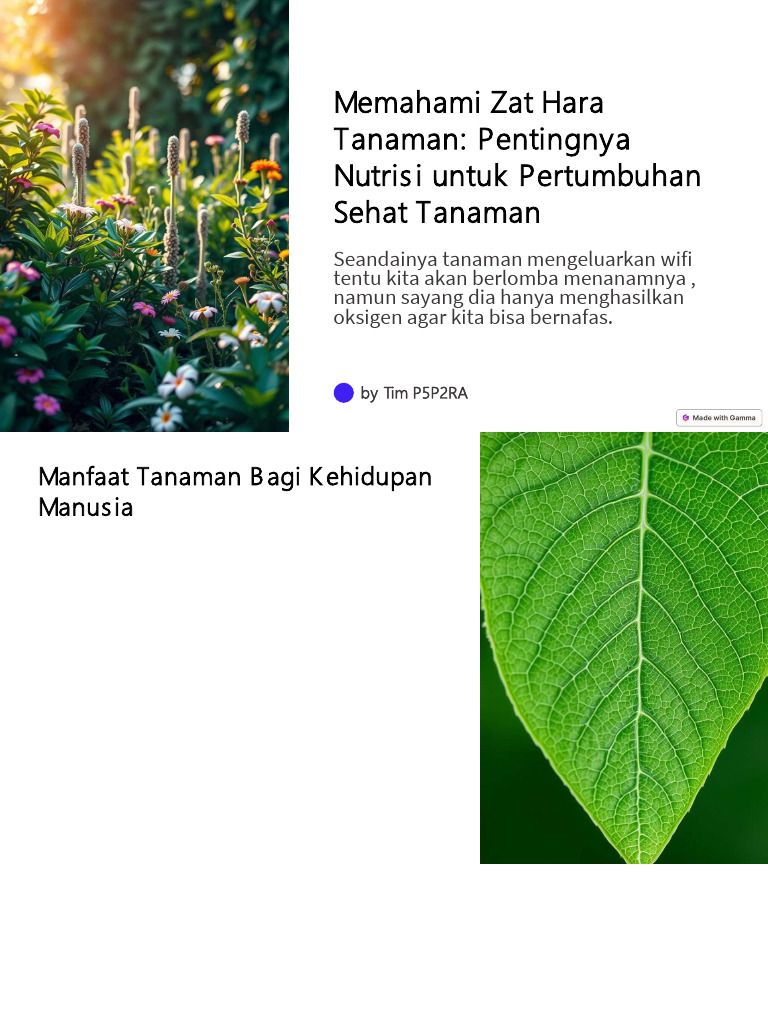 Modul Tumbuhan Dan Hara | PDF