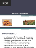 Hoja de Seguridad: Trapos Contaminados | PDF | Contaminación | Agua