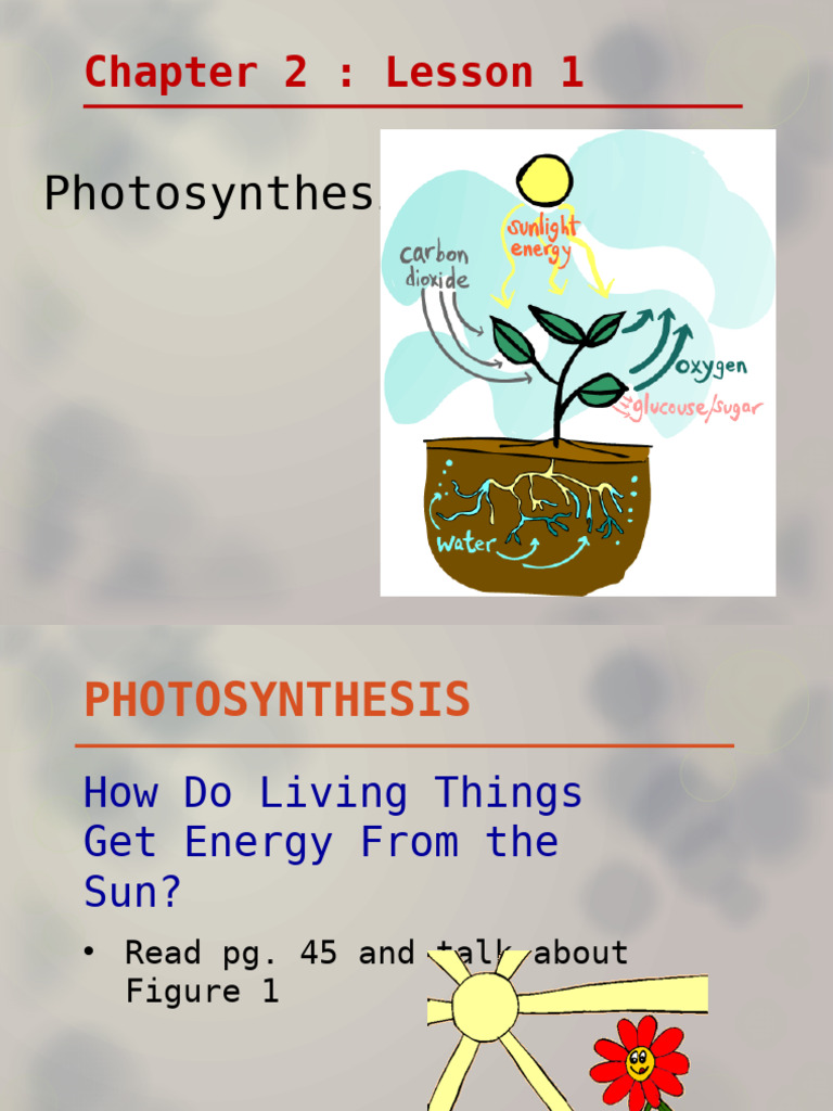 Notes - PowerPoint 2-1 Photosynthesis Final 0 | PDF | Photosynthesis ...