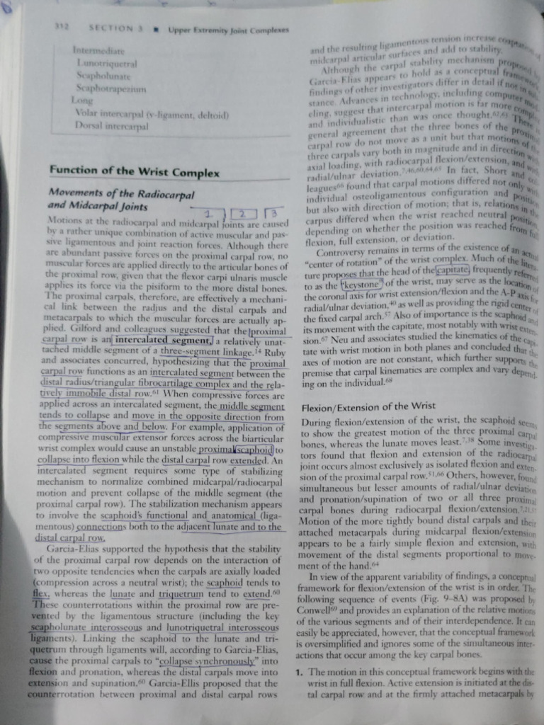 Wrist Movement | PDF | Anatomical Terms Of Motion | Hand