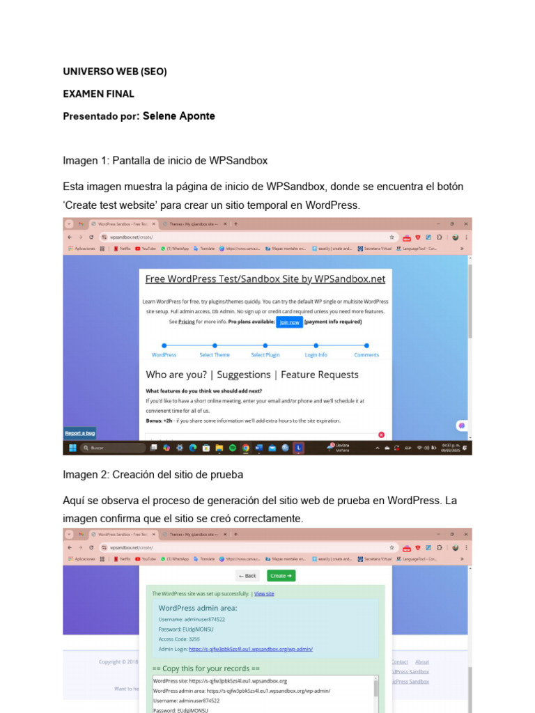 Selene | PDF | Word Press | Posicionamiento en buscadores