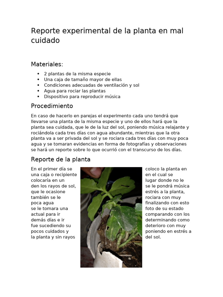 Efectos del Mal Cuidado en Plantas | PDF | Plantas | Dom