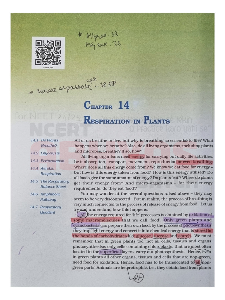 14. Respiration in Plants AR Marked | PDF