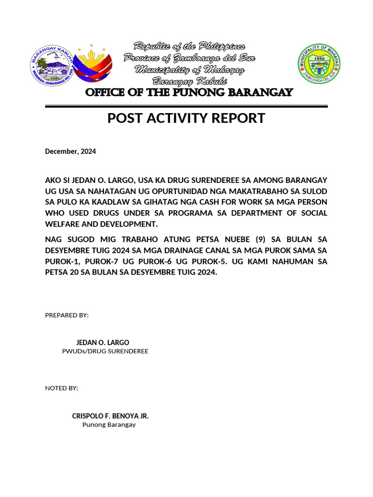 Post Activity Report | PDF