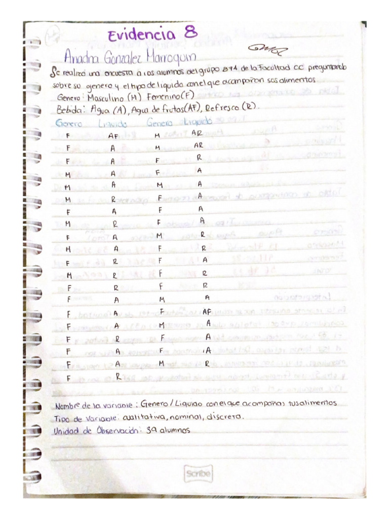 EVIDENCIA 8 Merca | PDF