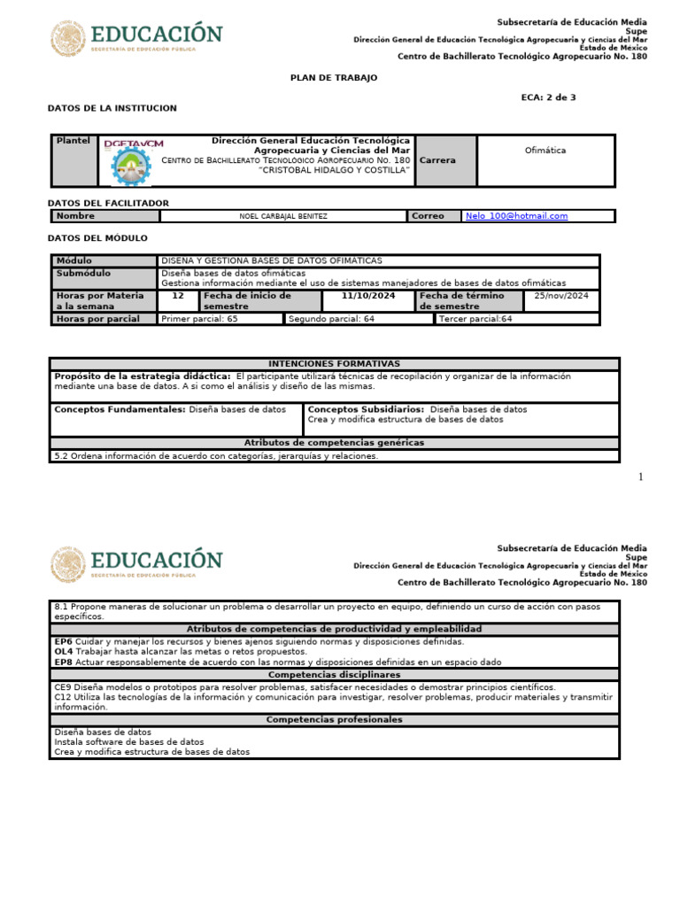 PLANEACION SUBMODULO eca 2 ACCES | PDF | Evaluación | Bases de datos