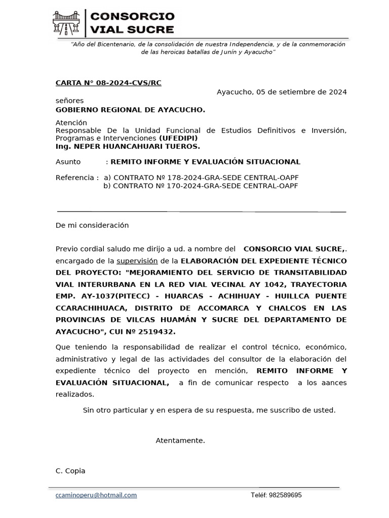 Informe Situacional | PDF