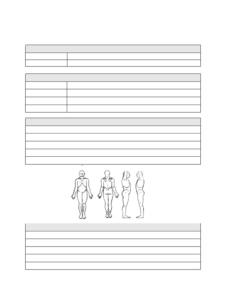 The Perfect Pointe System Pre Pointe Assessment | PDF
